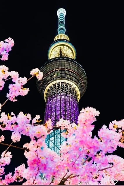 Tokyo Private Day Trip With English Speaking Driver - FAQ