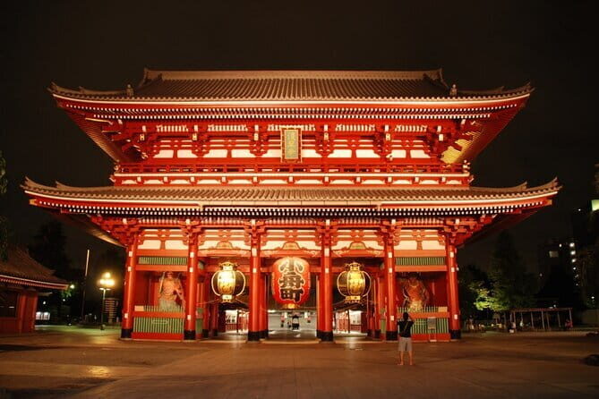 Tokyo private Driving Tour by car/van English speaking chauffeur - Who Would Benefit Most?