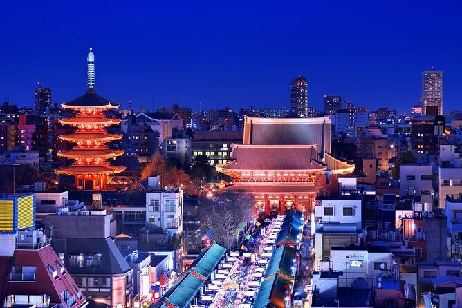 Tokyo Private Driving Tour by Car/Van with English Chauffeur - The Price & Value