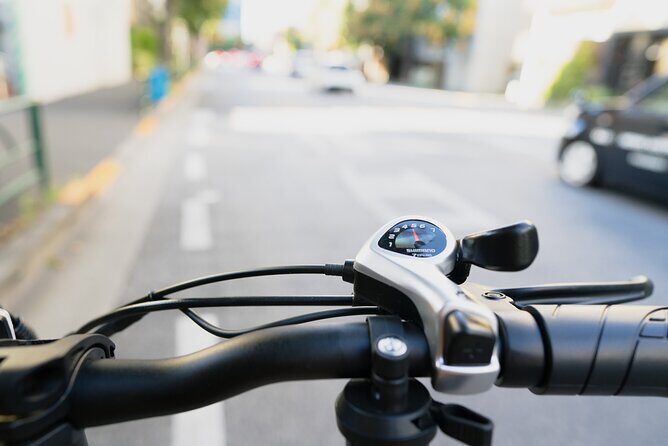 Tokyo: Private E-Bike Tour of the Imperial Palace Area - What Do Travelers Love?