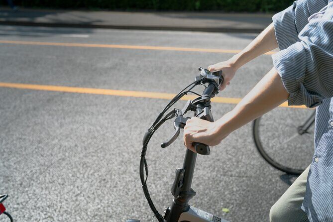 Tokyo: Private Electric Bike Tour of City Highlights - Final Thoughts: Is It Worth It?