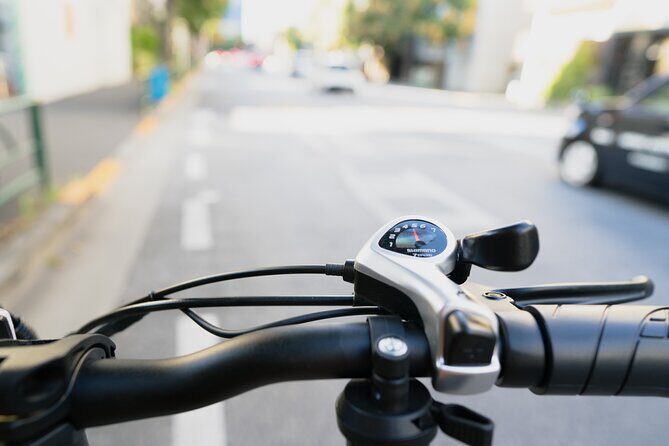 Tokyo: Private Electric Bike Tour of City Highlights - FAQs