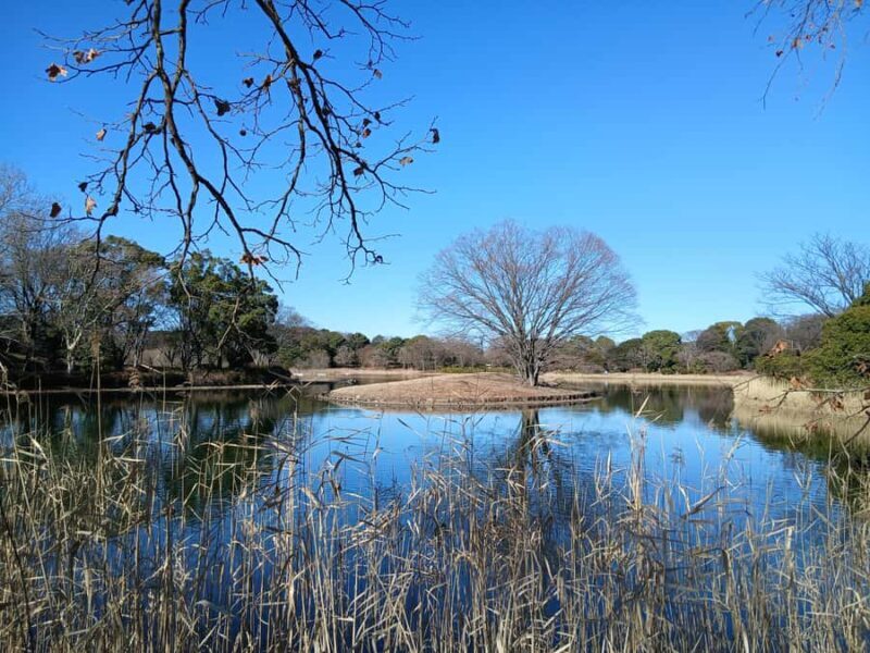 Tokyo: Private Family Park Tour with Couple Alone Time - Key Points