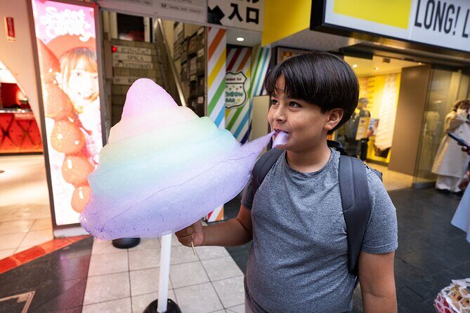 Tokyo Private Family Tour  Personalized Adventure - Key Points