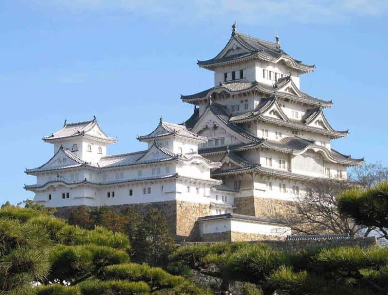 Tokyo: Private Full day Guided Tour with an English Driver - Key Points