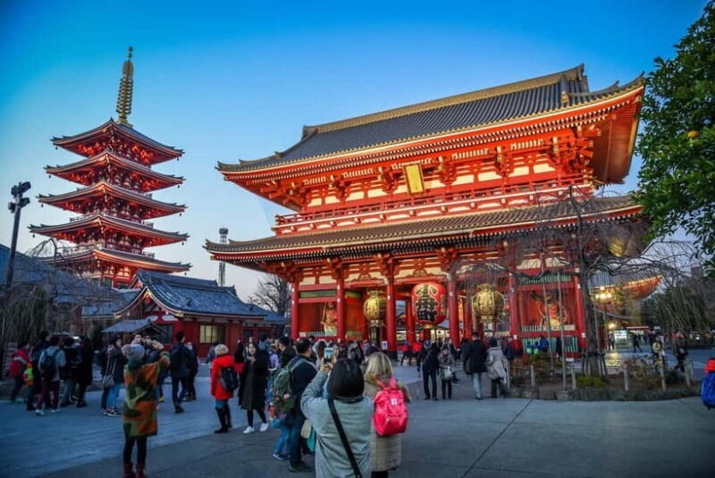 Tokyo: Private Full day Guided Tour with an English Driver - Authentic Experiences in a Comfortable Setting