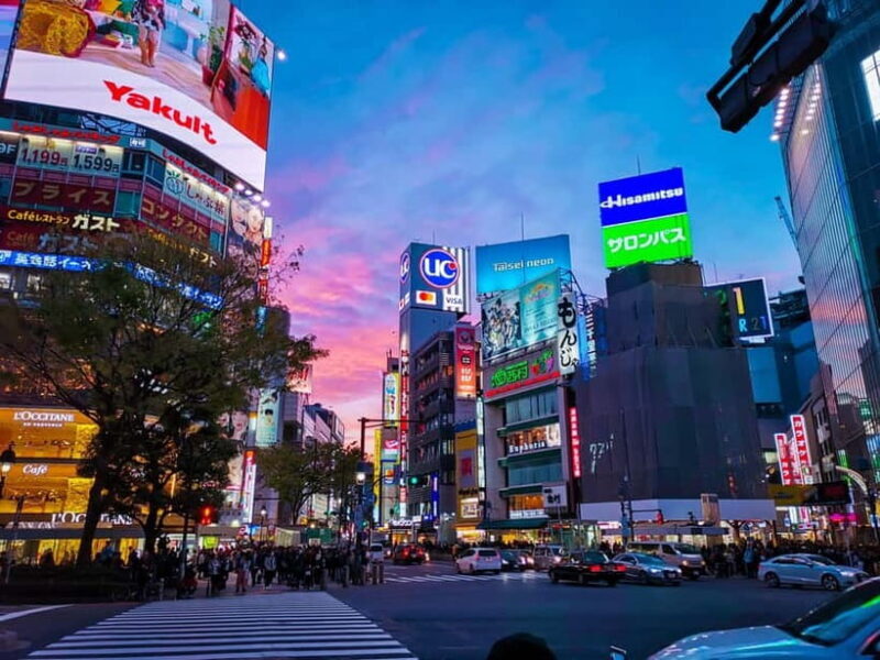Tokyo: Private Full day Guided Tour with an English Driver - FAQ