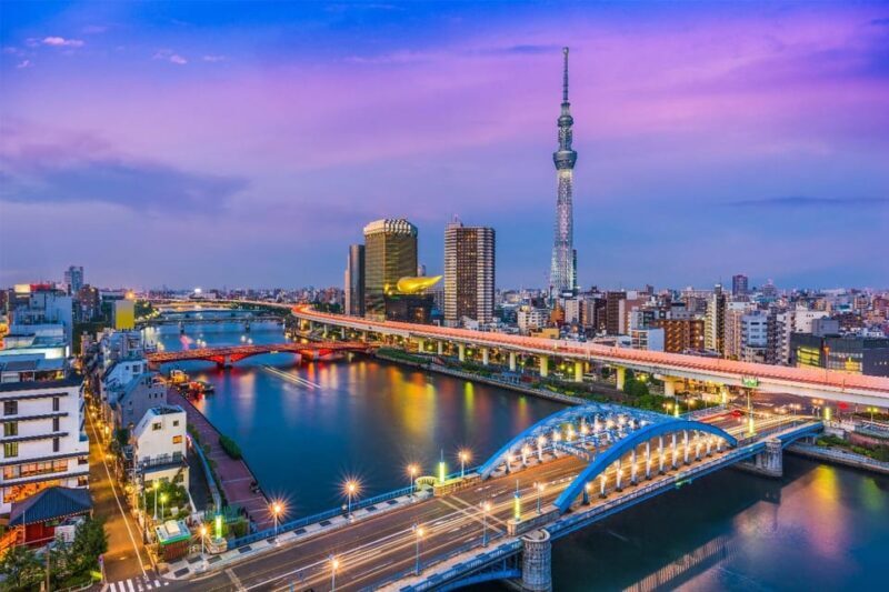 Tokyo: Private Full-Day Sightseeing Tour with English Driver - An In-Depth Look at the Tour Experience