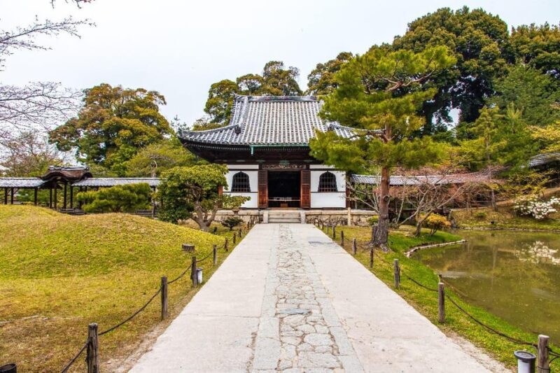 Tokyo: Private Full-Day Sightseeing Tour with English Driver - Practical Details & Tips