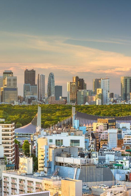 Tokyo: Private Full-Day Sightseeing Tour with English Driver - FAQ