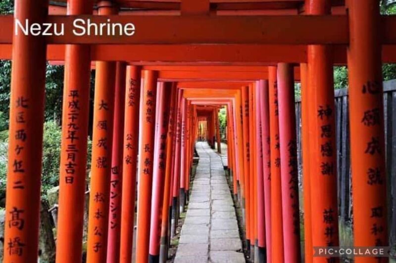 Tokyo: Private Full-Day Sightseeing Tour with Hotel Pickup - The Value of a Private Tour