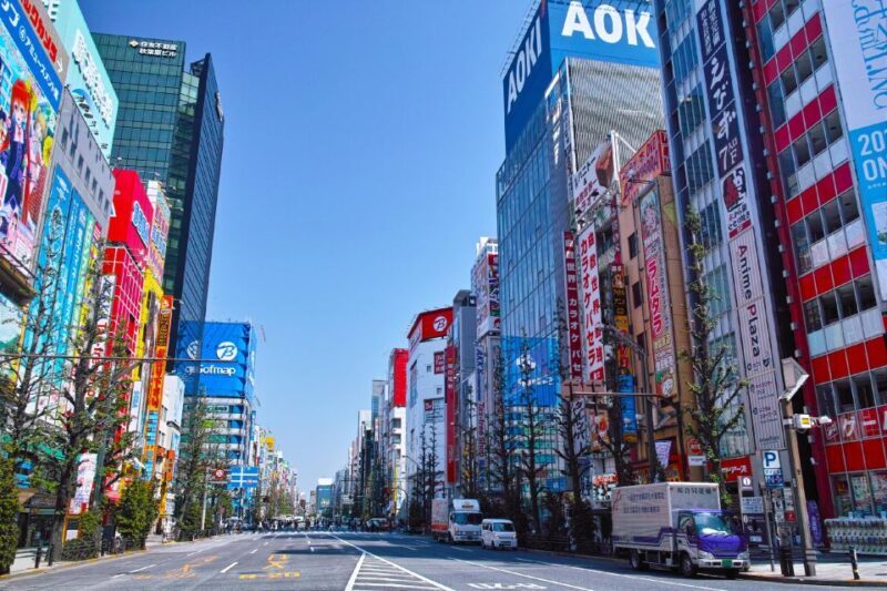 Tokyo: Private Full-Day Tour with Hotel Pickup - A Balanced Introduction to Tokyo’s Heart