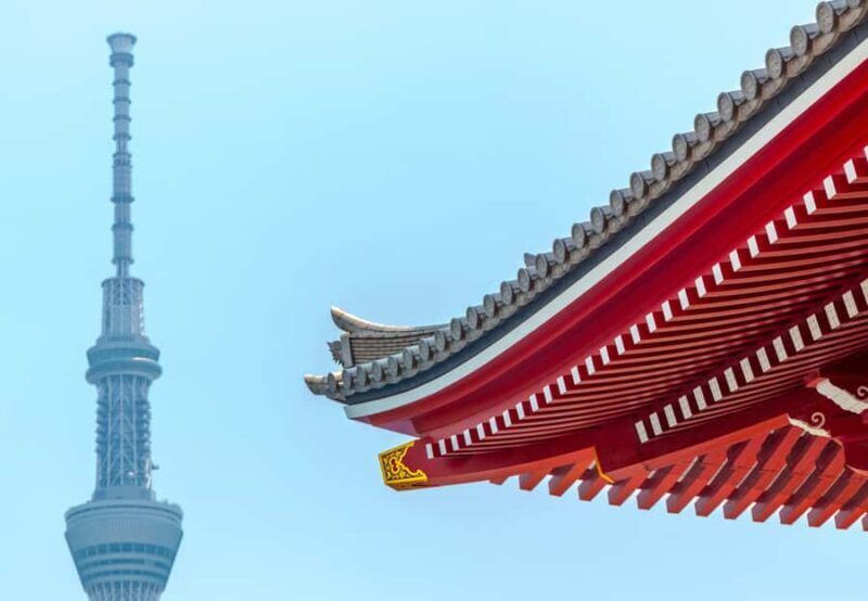 Tokyo Private Guided City Highlight Tour with Local Insights - Key Points