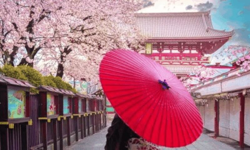 Tokyo: Private Guided Tour with Hotel Pickup and Drop-off - Who Should Consider This Tour?