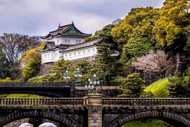 Tokyo Private Guided Tour with Hotel Pickup and Drop off - An In-Depth Look at the Tour