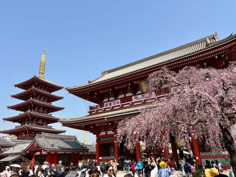 Tokyo: Private Half-Day Highlights Tour by Car with Guide - The Sum Up