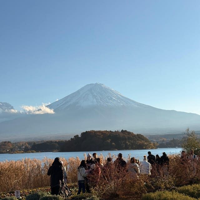 Tokyo: Private Half-Day Tour by Car with Local Guide - Key Points