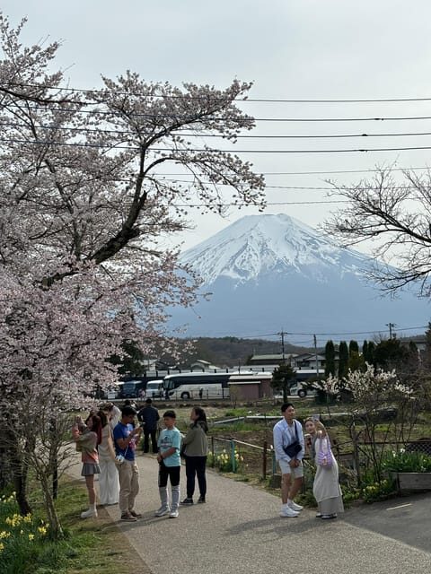 Tokyo: Private Half-Day Tour by Car with Local Guide - Practical Tips for Travelers