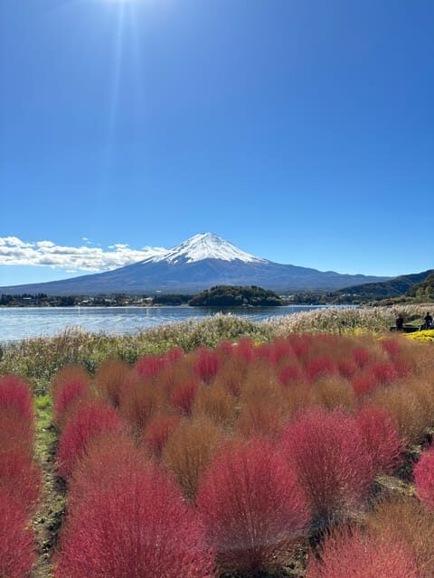 Tokyo: Private Half-Day Tour by Car with Local Guide - FAQ