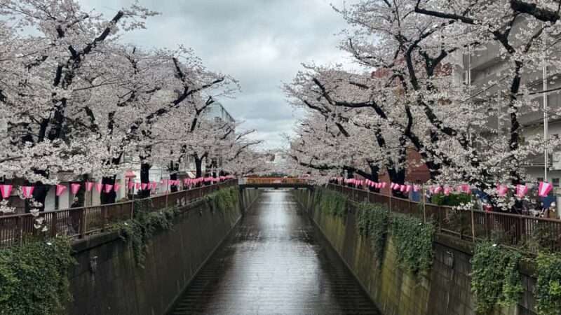 Tokyo: Private Hidden Gems Tour with Hotel Pickup - An Inside Look at the Tour Itinerary