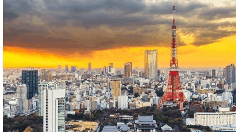 Tokyo: Private Instagramable Customised Tokyo City Day Tour - An In-Depth Look at the Experience