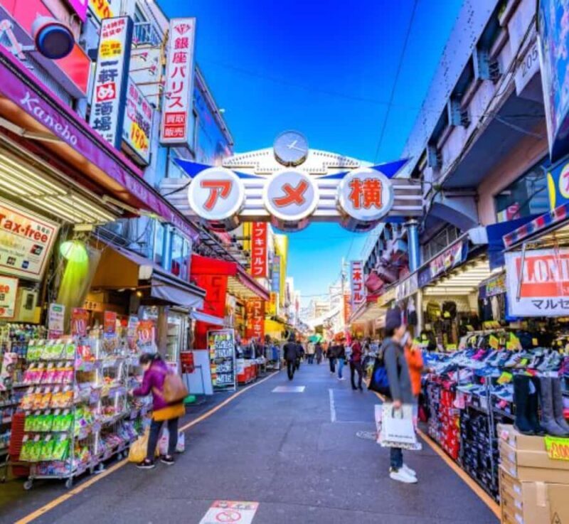 Tokyo: Private Izu Peninsula & Shimoda Day Trip - The Sum Up: Who Will Love This Tour?