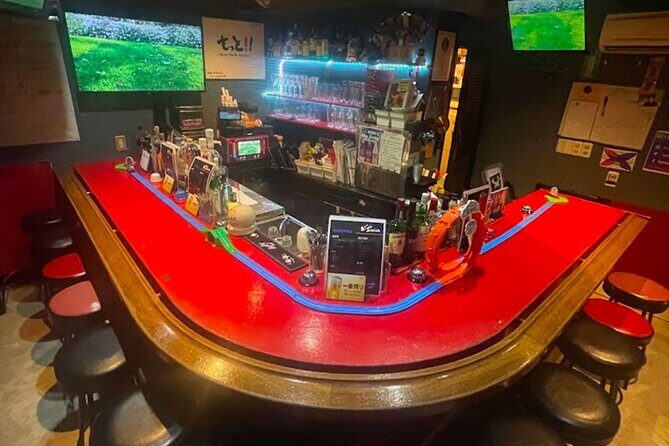 Tokyo Private Karaoke Lesson in Shinjuku - Key Points