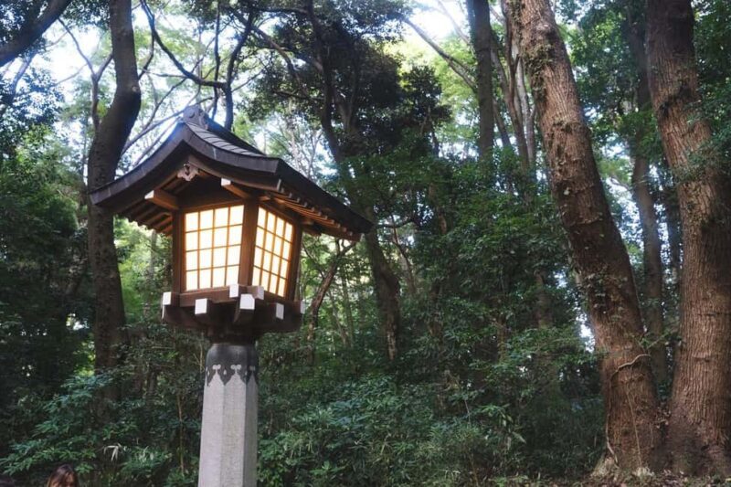 Tokyo: Private Meiji Shrine & Harajuku Highlights Tour - Authentic Experiences Highlighted by Reviews