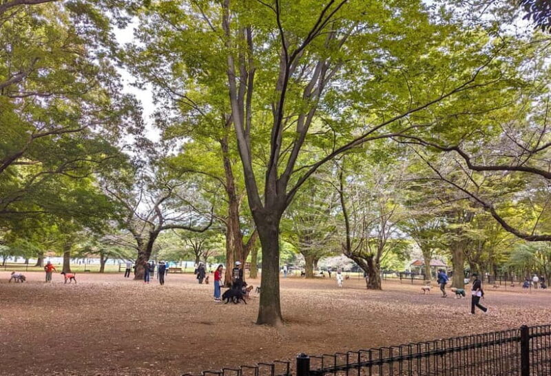 Tokyo: Private Morning Run with Sento Bath Experience - Key Points