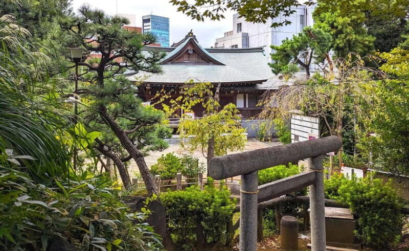 Tokyo: Private Morning Run with Sento Bath Experience - What Real Travelers Say