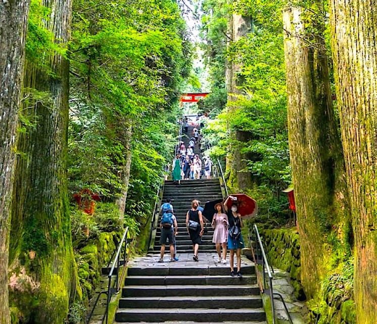 Tokyo: Private Mount Fuji and Hakone Day Trip with Guide - An In-Depth Look at the Mt. Fuji and Hakone Private Day Trip