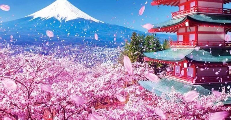 Tokyo: Private Mount Fuji and Hakone Day Trip with Guide - Who Should Consider This Tour?