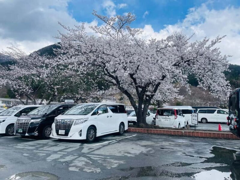 Tokyo: Private Mount Fuji Day Trip with Private Guide - The Sum Up: Is This Tour Right for You?