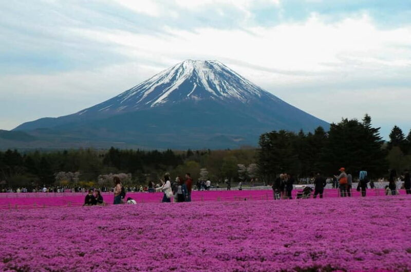Tokyo: Private Mount Fuji Tour with Pickup and Drop-Off - The Itinerary: What You Can Expect