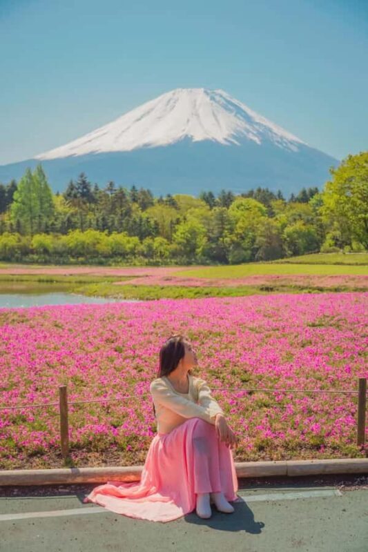 Tokyo: Private Mt. Fuji and Shibazakura Spring Tour - Why This Tour Stands Out