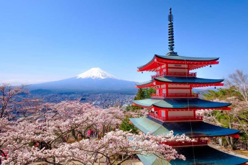 Tokyo: Private Mt.Fuji Day Trip with English-Speaking Driver - The Verdict: Is It Worth It?