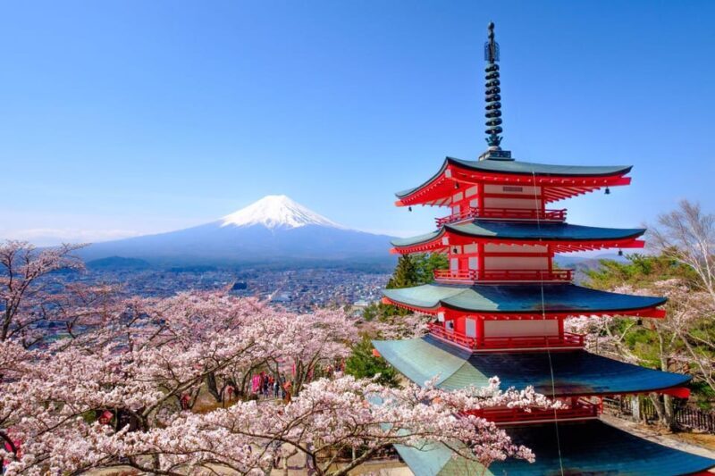 Tokyo: Private Mt.Fuji Day Trip with English-Speaking Driver - Key Points