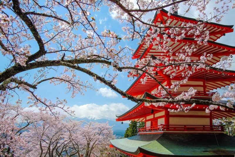 Tokyo: Private Mt.Fuji Day Trip with English-Speaking Driver - An In-Depth Look at This Mount Fuji Day Trip