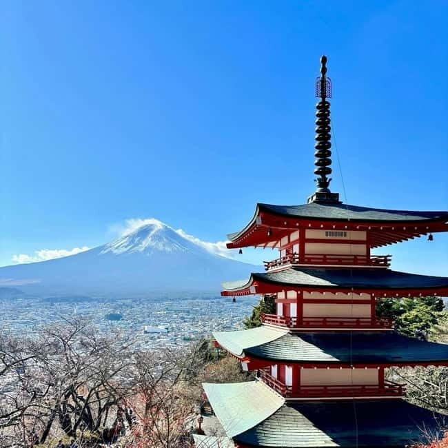 Tokyo: Private Mt. Fuji Day Trip with Local Guide - The Experience of a Private Guided Tour
