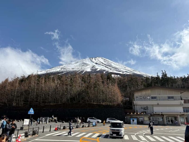 Tokyo: Private Mt. Fuji Day Trip with Local Guide - Practical Considerations