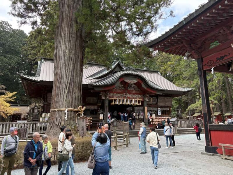 Tokyo: Private Mt. Fuji Day Trip with Local Guide - Who Will Love This Tour?