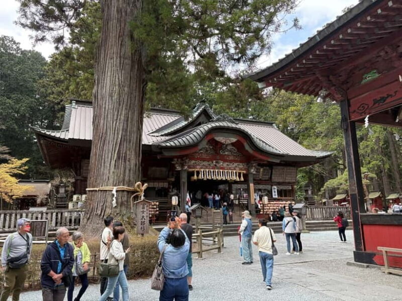 Tokyo: Private Mt. Fuji Day Trip with Local Guide - FAQ