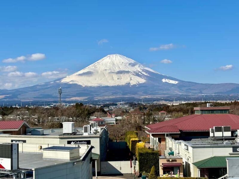 Tokyo: Private Mt. Fuji & Hakone Day Tour by Luxury Car - FAQs