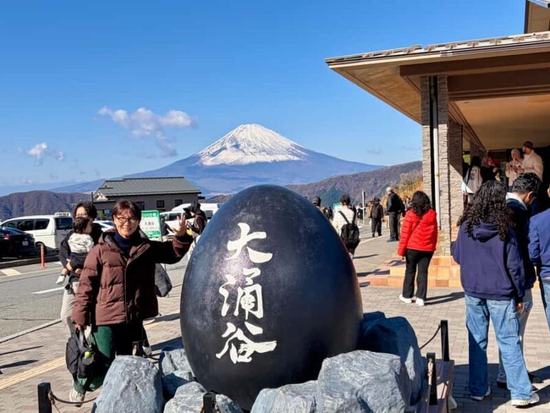 Tokyo: Private Mt. Fuji & Hakone Day Tour by Luxury Car - Source