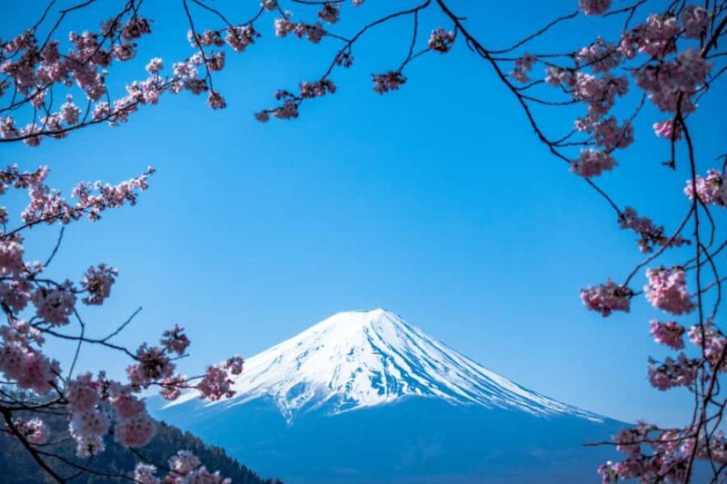 Tokyo: Private Mt. Fuji & Hakone Tour with English Driver - Key Points