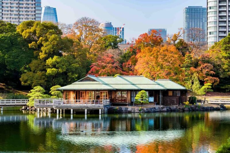Tokyo: Private Night Tour with English-Speaking Driver - Who Would Enjoy This Tour Most?