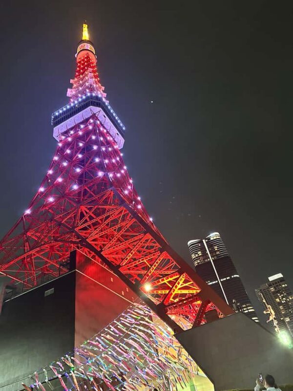 Tokyo: Private Night Tour with Hotel Pickup - Why Consider a Tokyo Night Tour?