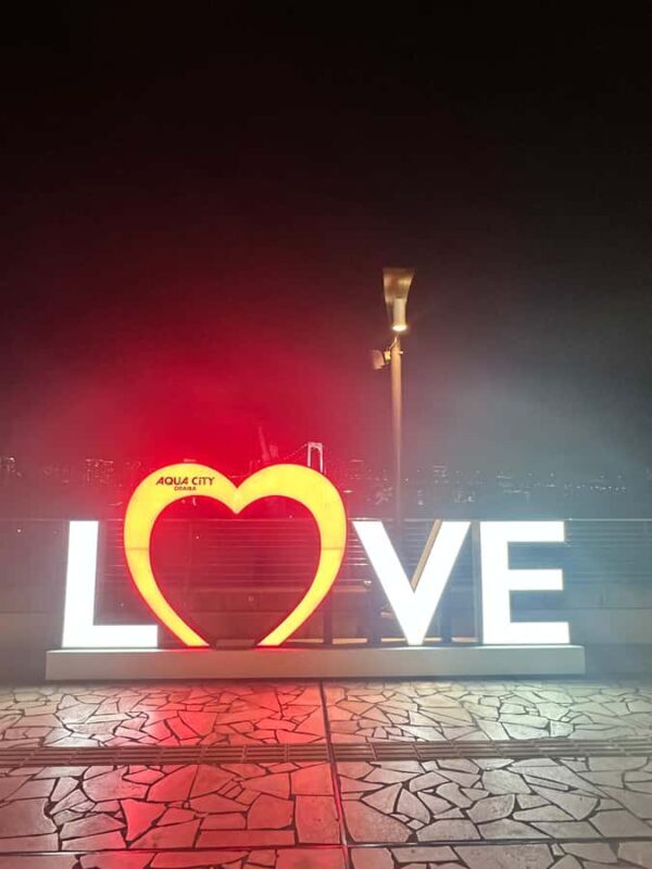 Tokyo: Private Night Tour with Hotel Pickup - Final Thoughts: Is It Worth It?