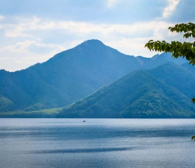 Tokyo: Private Nikko Day Tour of Temples, Lakes & Waterfalls - What the Reviews Say