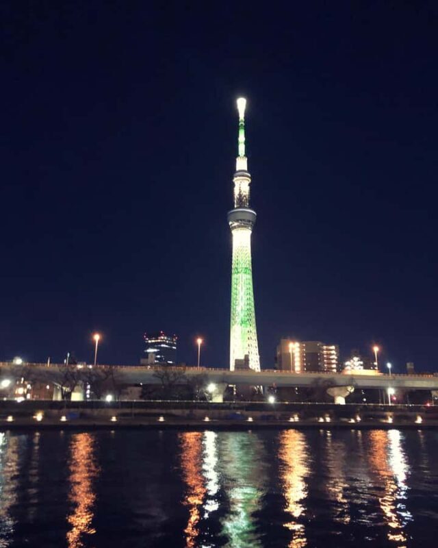 Tokyo Private One-Day Tour  Local Driver - A Practical Guide to the Tokyo Private One-Day Tour